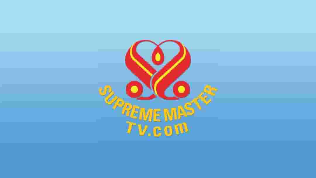 SupremeMasterTV Live (1080p 1 + 119,200 x Max) | Real-Time YouTube Live ...