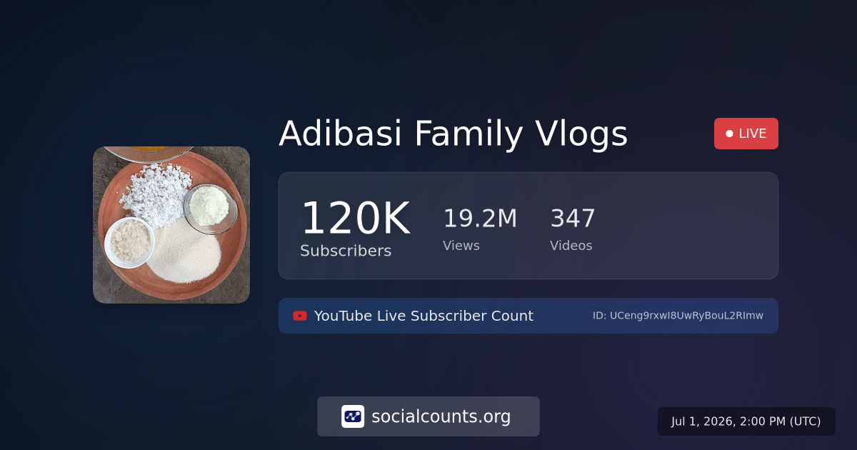 Adibasi Family Vlogs - YouTube Live Subscriber Count - SocialCounts.org