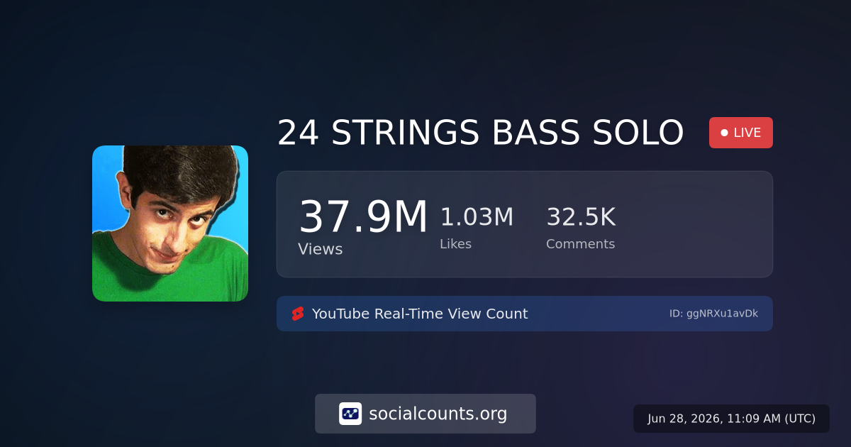 24 STRINGS BASS SOLO | Real-Time YouTube Live View Count | SocialCounts.org